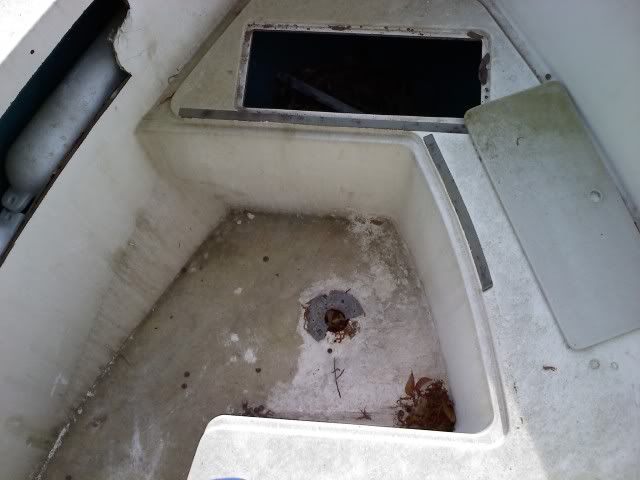 1991 Wellcraft Eclipse 232 | Boating Forum - iboats Boating Forums